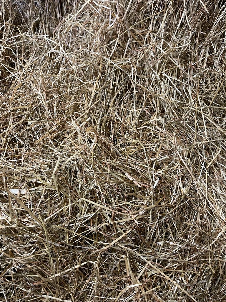 Miscanthux - Litière absorbante 100% naturelle - Herbalux